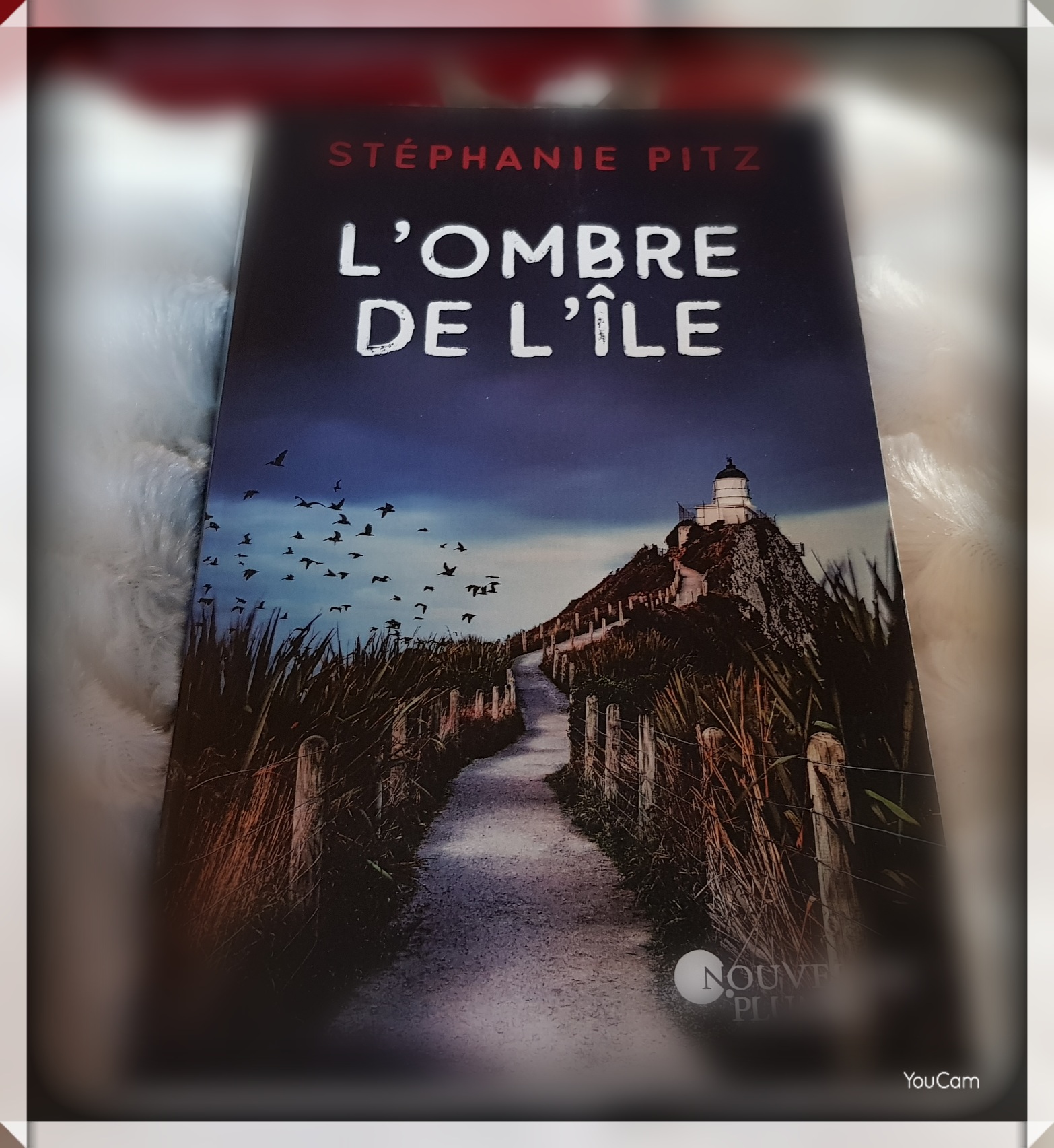 « L’ombre de l’île » de Stéphanie PITZ – PassionLectureAnnick