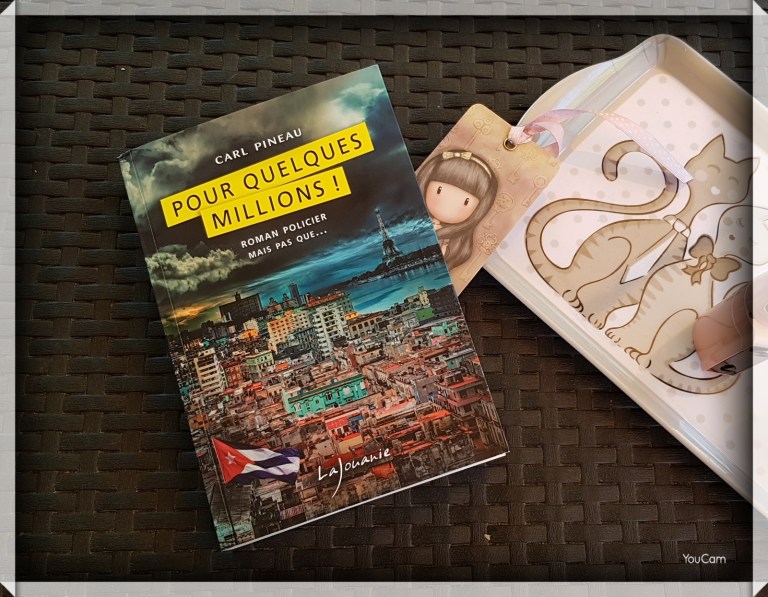 « Pour quelques millions » de Carl PINEAU – PassionLectureAnnick